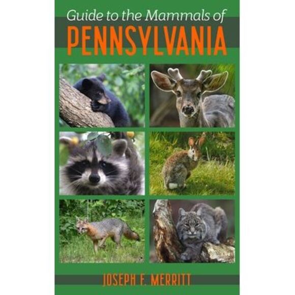 Joseph Merritt | Other | Guide To The Mammals Of Pennsylvania Joseph ...